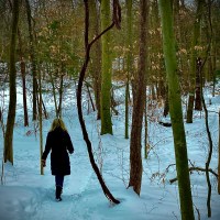 Collection – The Journey Inward