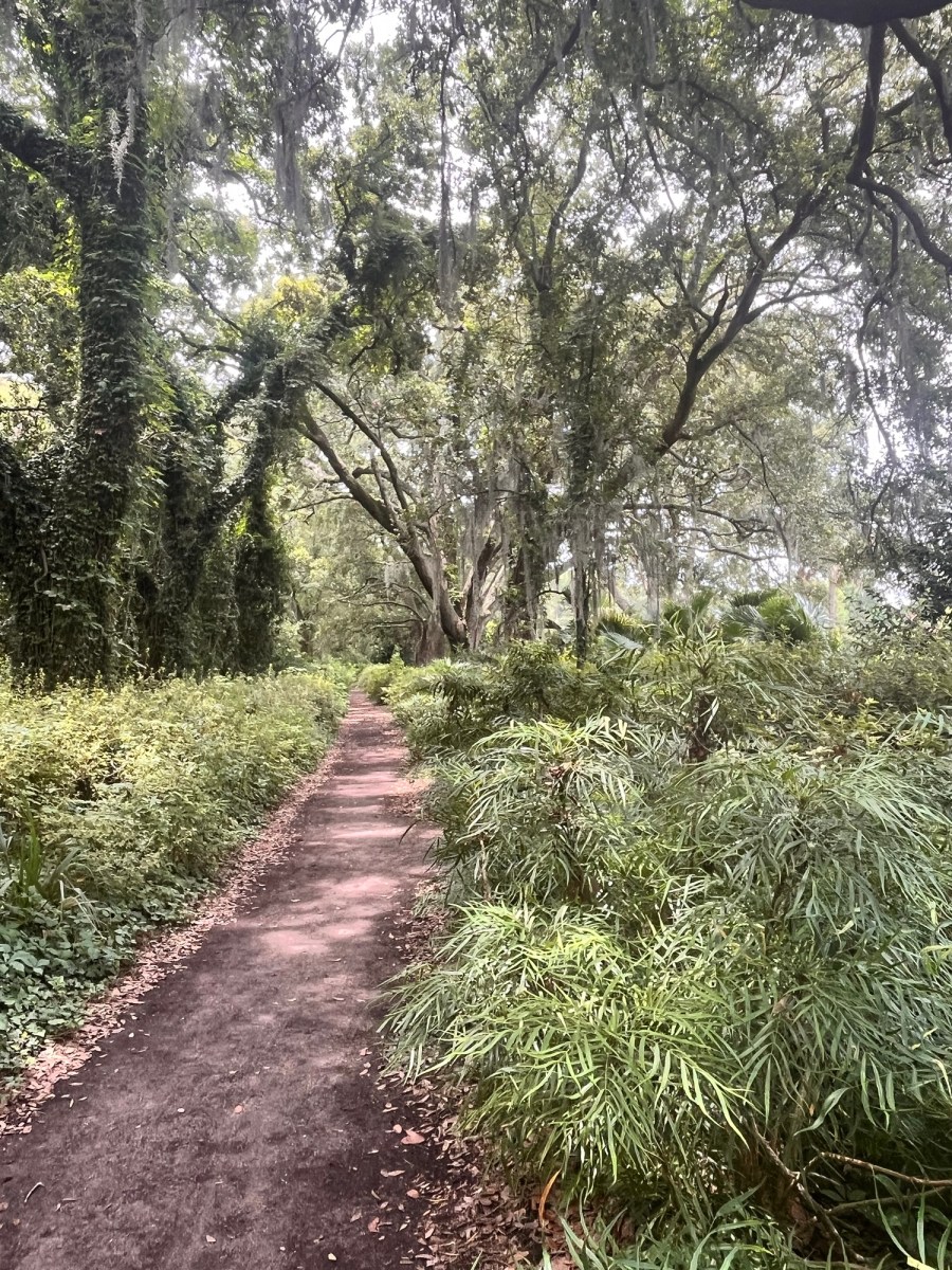 Walks – The Journey Inward